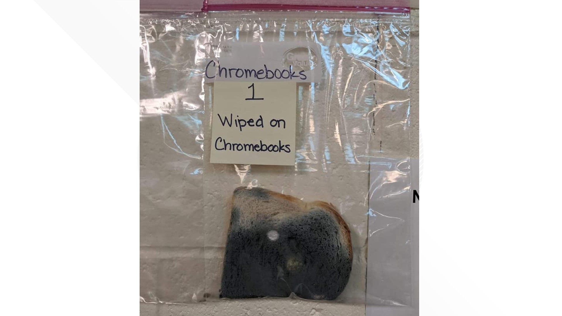 Idaho teacher's experiment shows importance of washing hands | wtsp.com