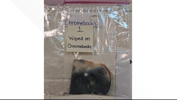 Idaho teacher's experiment shows importance of washing hands | wtsp.com