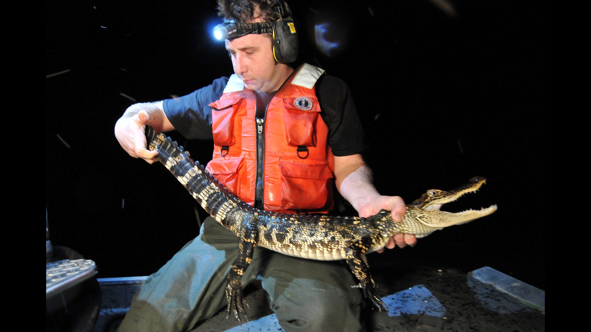 "Like a ghost": Why alligators pose a lethal threat | wtsp.com