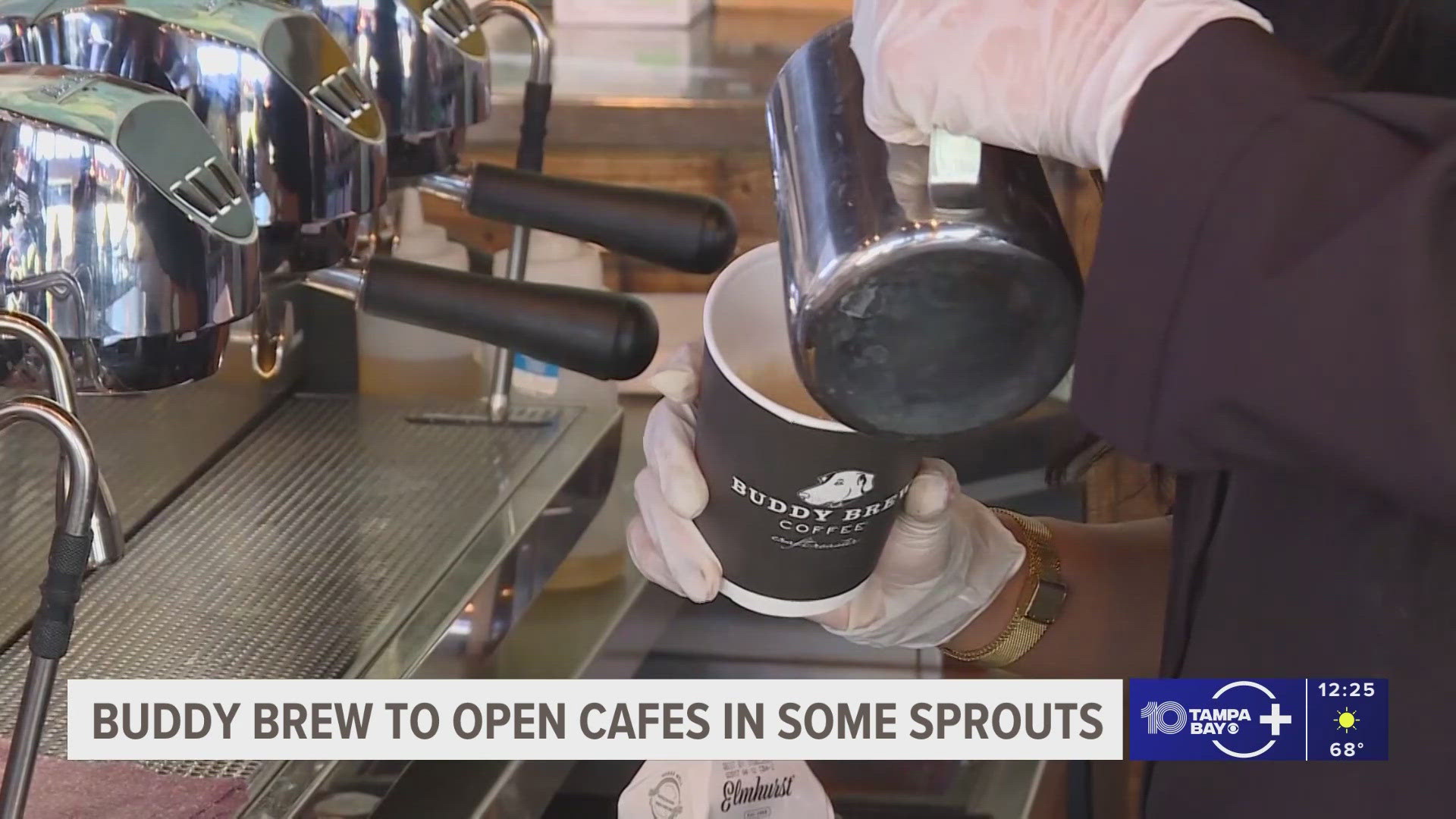 Johnny Knoxville announces new movie, clarifies he 'can't get hit in ...