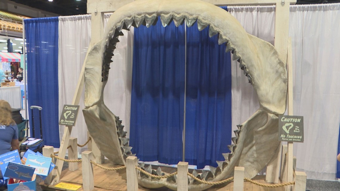 SharkCon wows, entertains and educates hundreds | wtsp.com