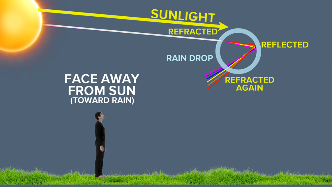 How a double rainbow is formed | wtsp.com