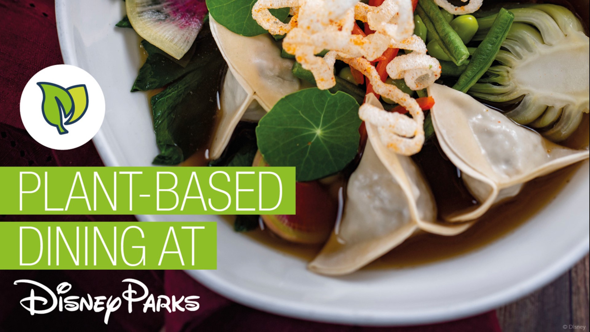Disney World launches new vegan menus at all restaurants | wtsp.com