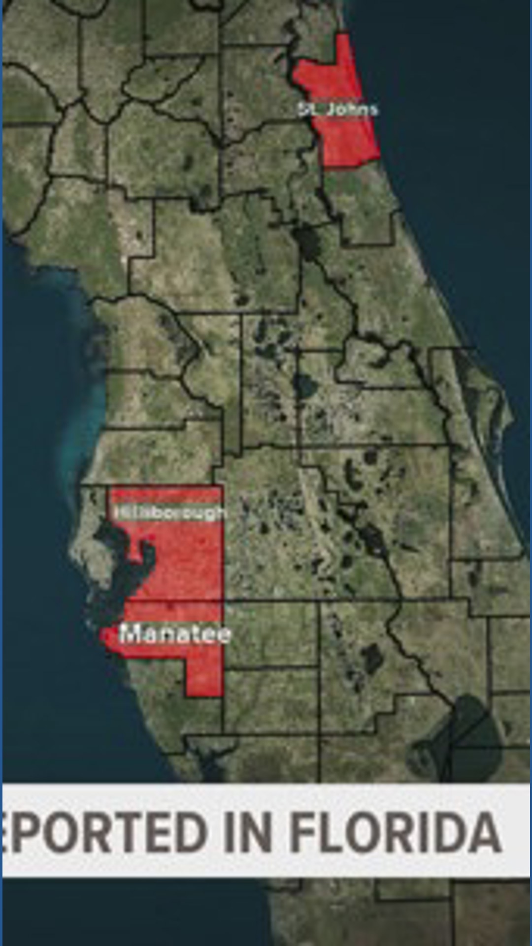Florida Department of Health reports 3 new cases of measles | wtsp.com