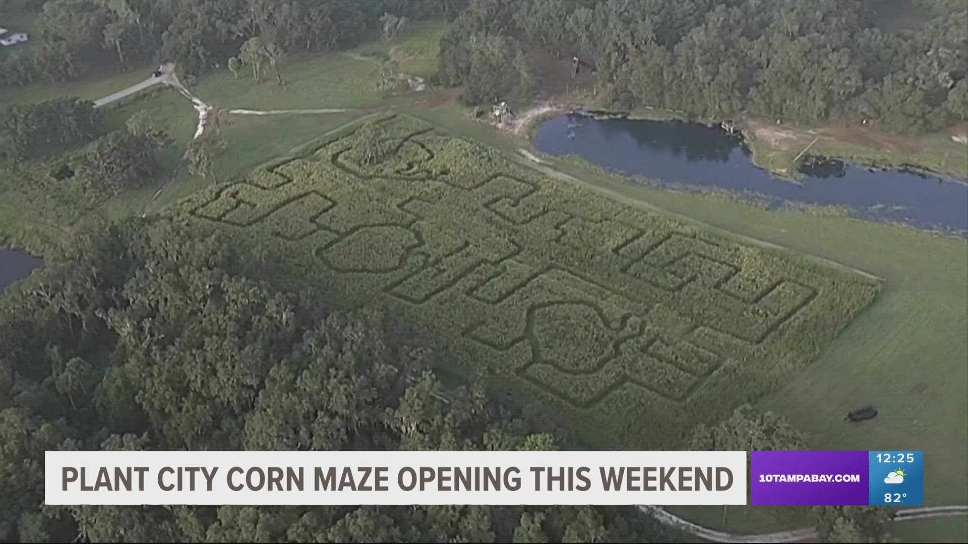 Plant City corn maze opening this weekend | wtsp.com
