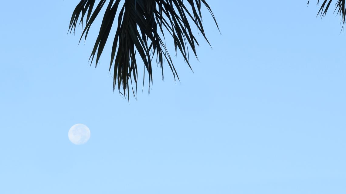 See a daytime moon in the morning sky Saturday! | wtsp.com