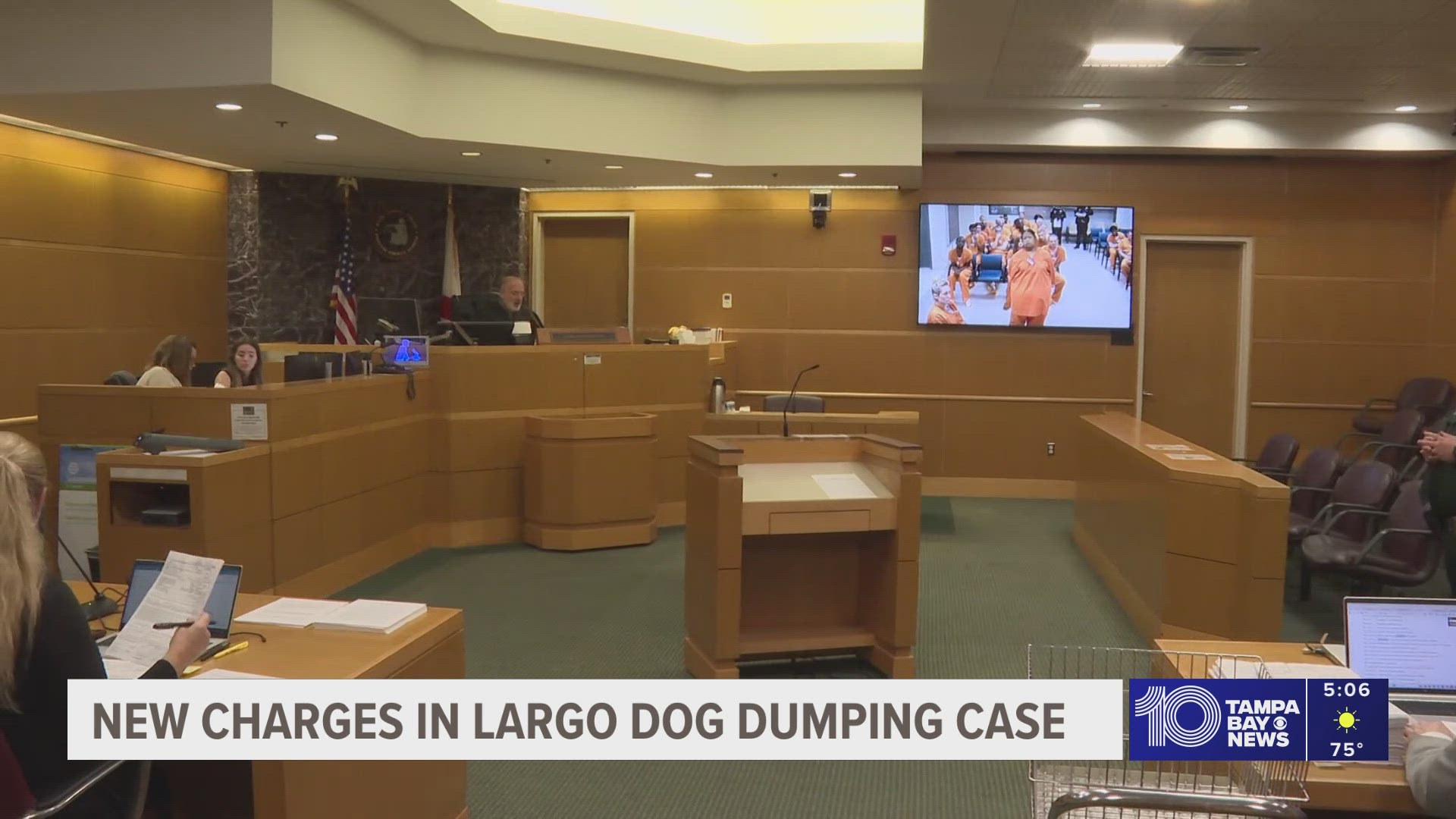 Couple accused of dumping sick dogs faces new felony charges as ...