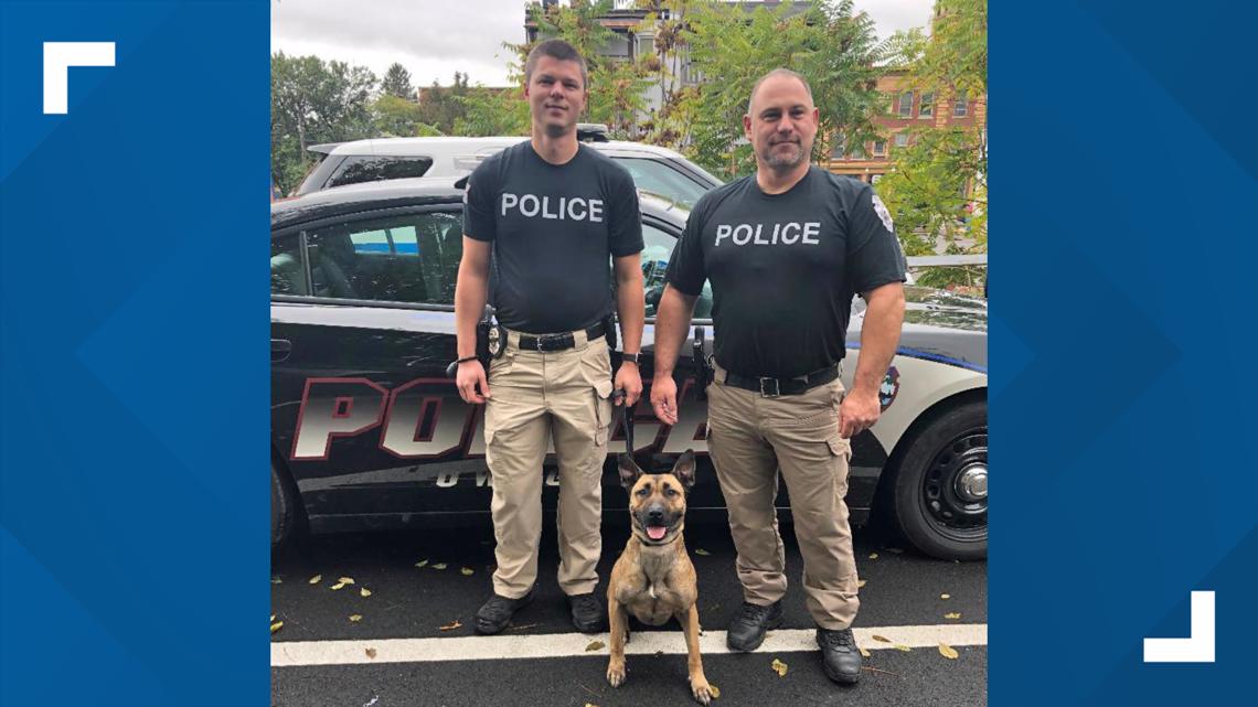 A K-9 beats the odds and trains to become a police dog | wtsp.com