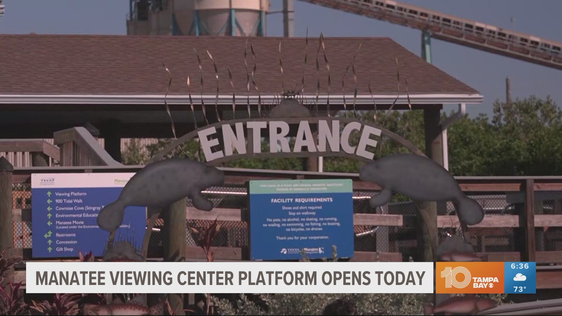 Happening Today: Manatee Viewing Center opens new viewing platform ...