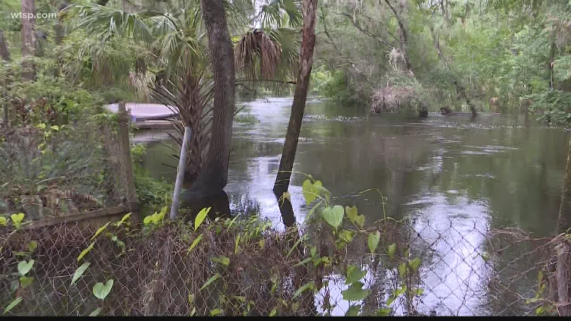 Alafia River at highest levels since Irma, and more rain is coming ...
