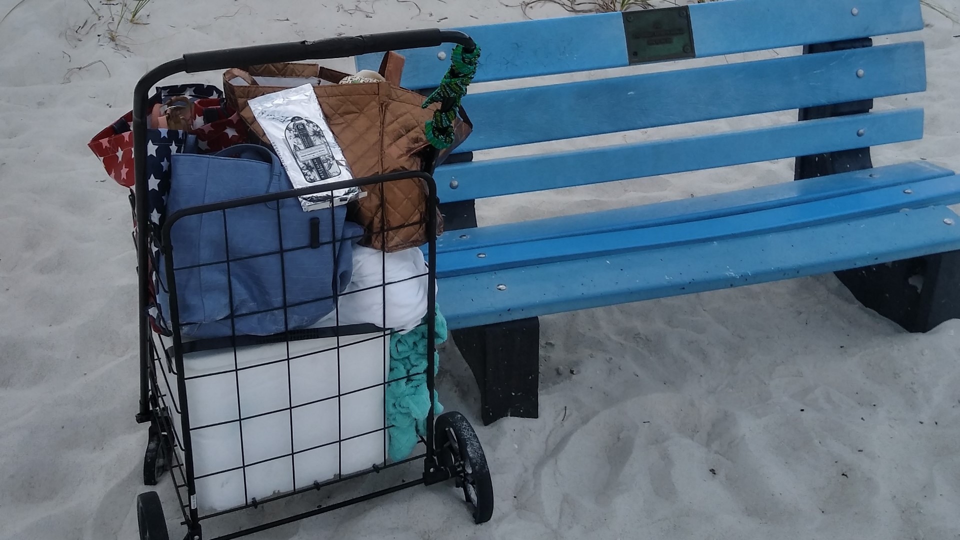 Homeless men and women without kids struggle to get help during the ...