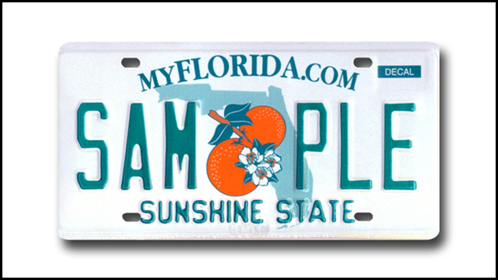 Here's why thieves are stealing your license plates | wtsp.com