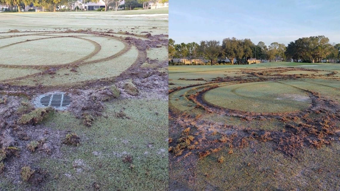 Clearwater golf course damaged by vandal | wtsp.com