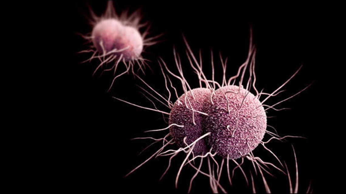 Drug-resistant gonorrhea a growing threat in the U.S. | wtsp.com Drug-resistant gonorrhea a growing threat in the U.S. | wtsp.com