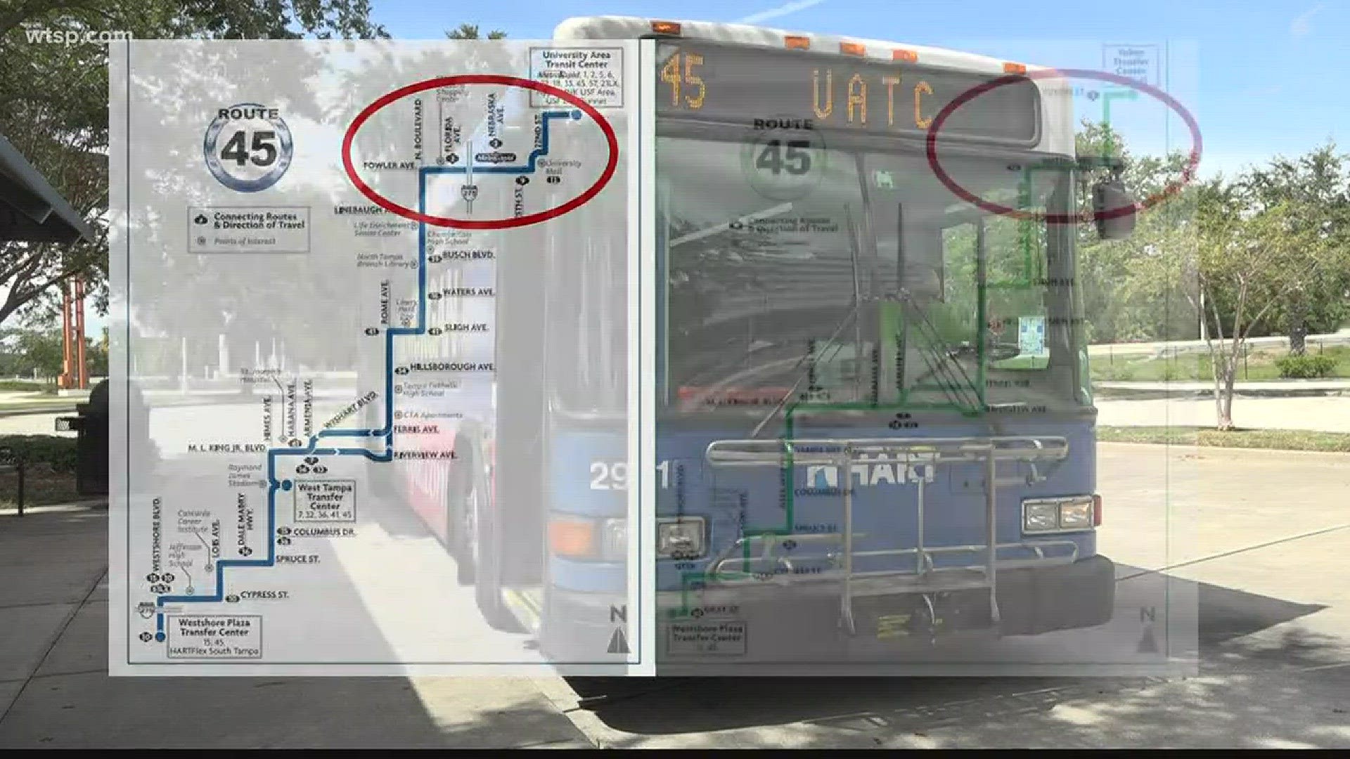 Changes in HART bus routes take effect | wtsp.com