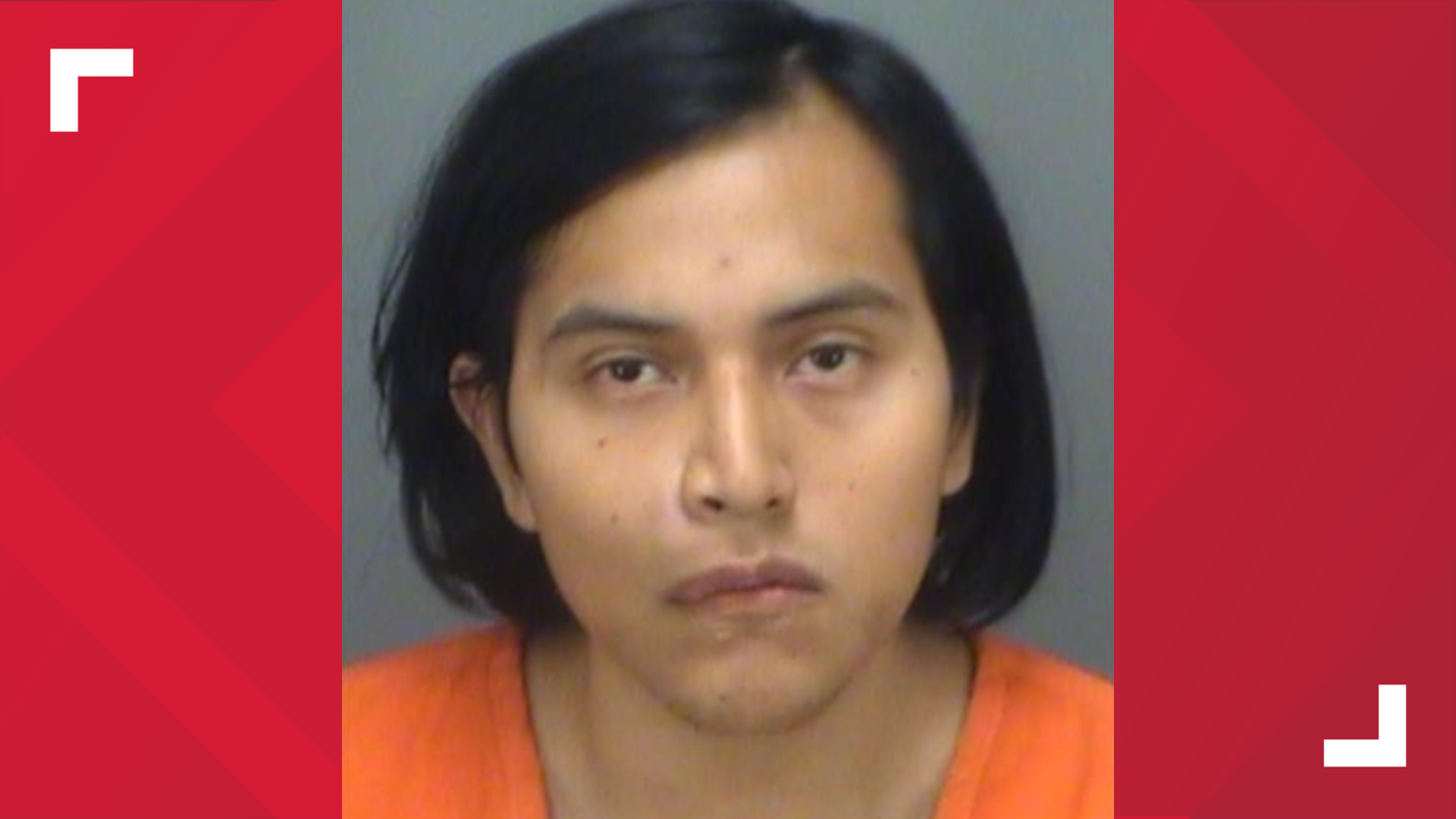 Florida man accused of beheading cat, taping head to stick | wtsp.com
