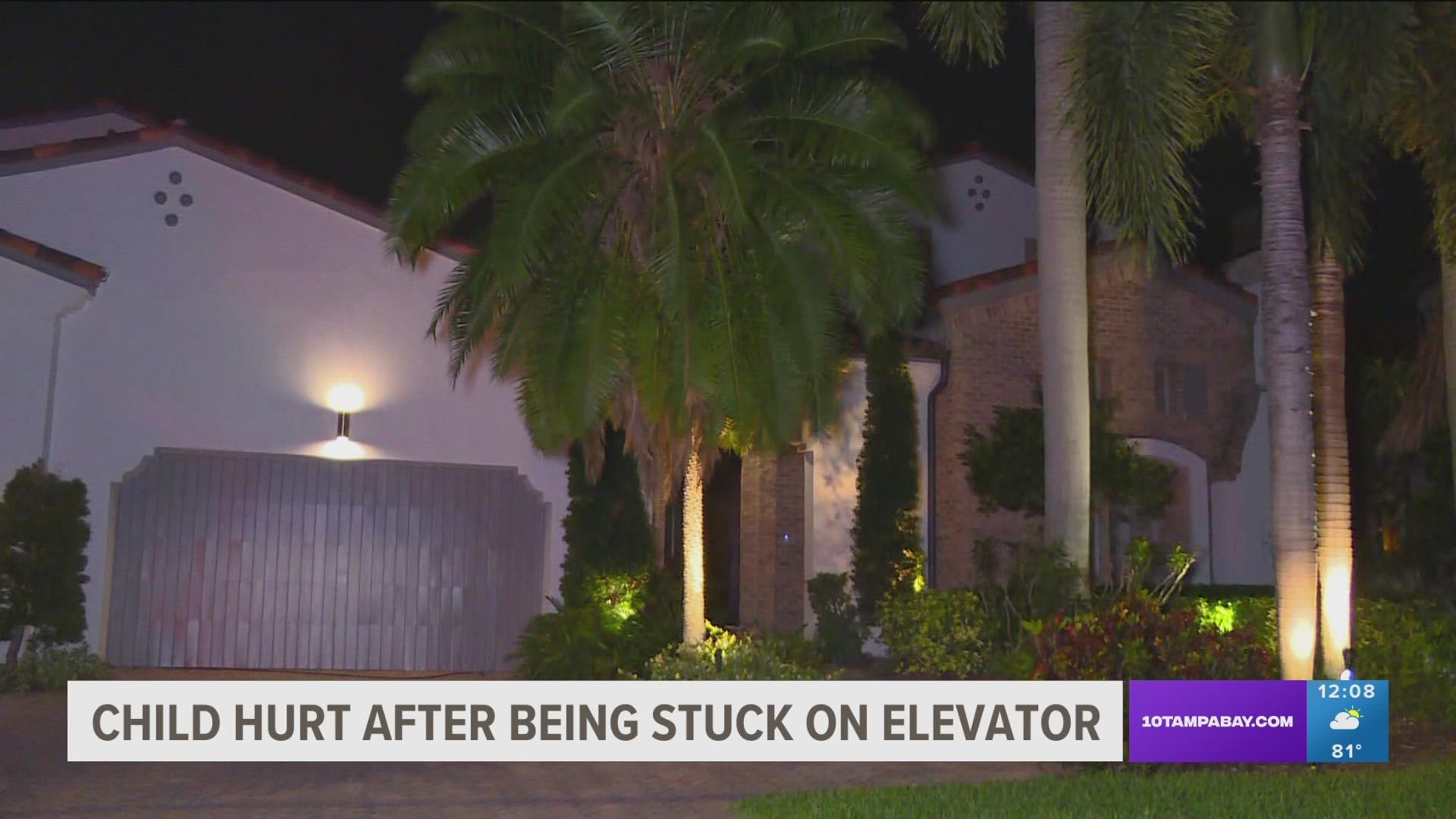 How dangerous are the New Guinea flatworms popping up across Florida ...