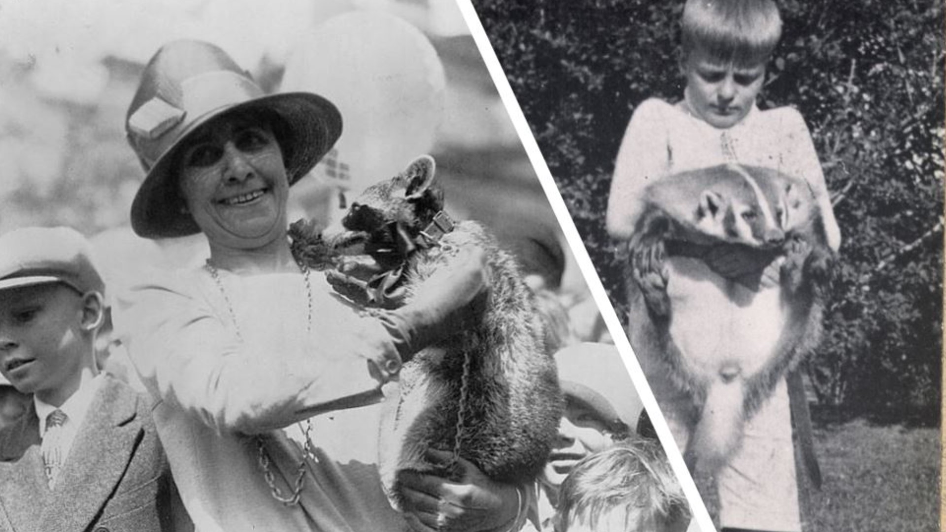 What animals have lived at the White House? | Presidential pets | wtsp.com
