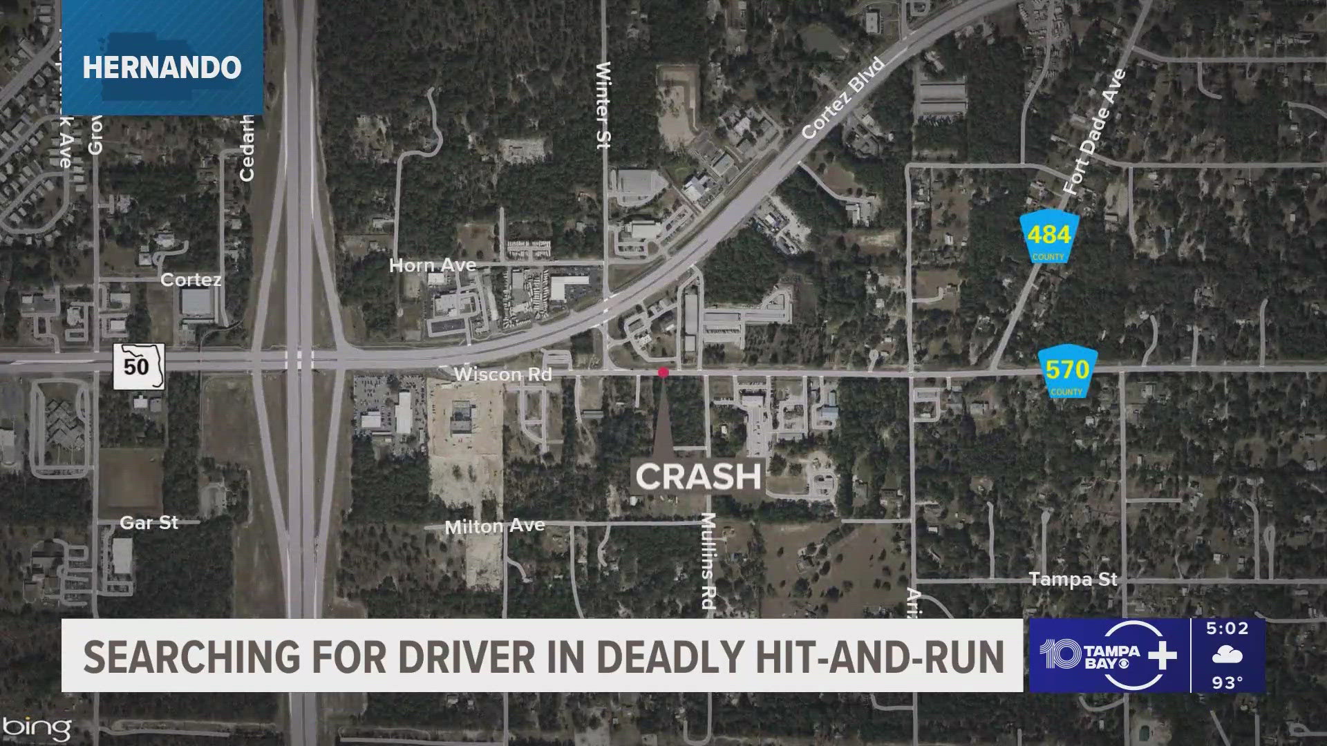 54-year-old woman killed in hit-and-run crash in Hernando County | wtsp.com