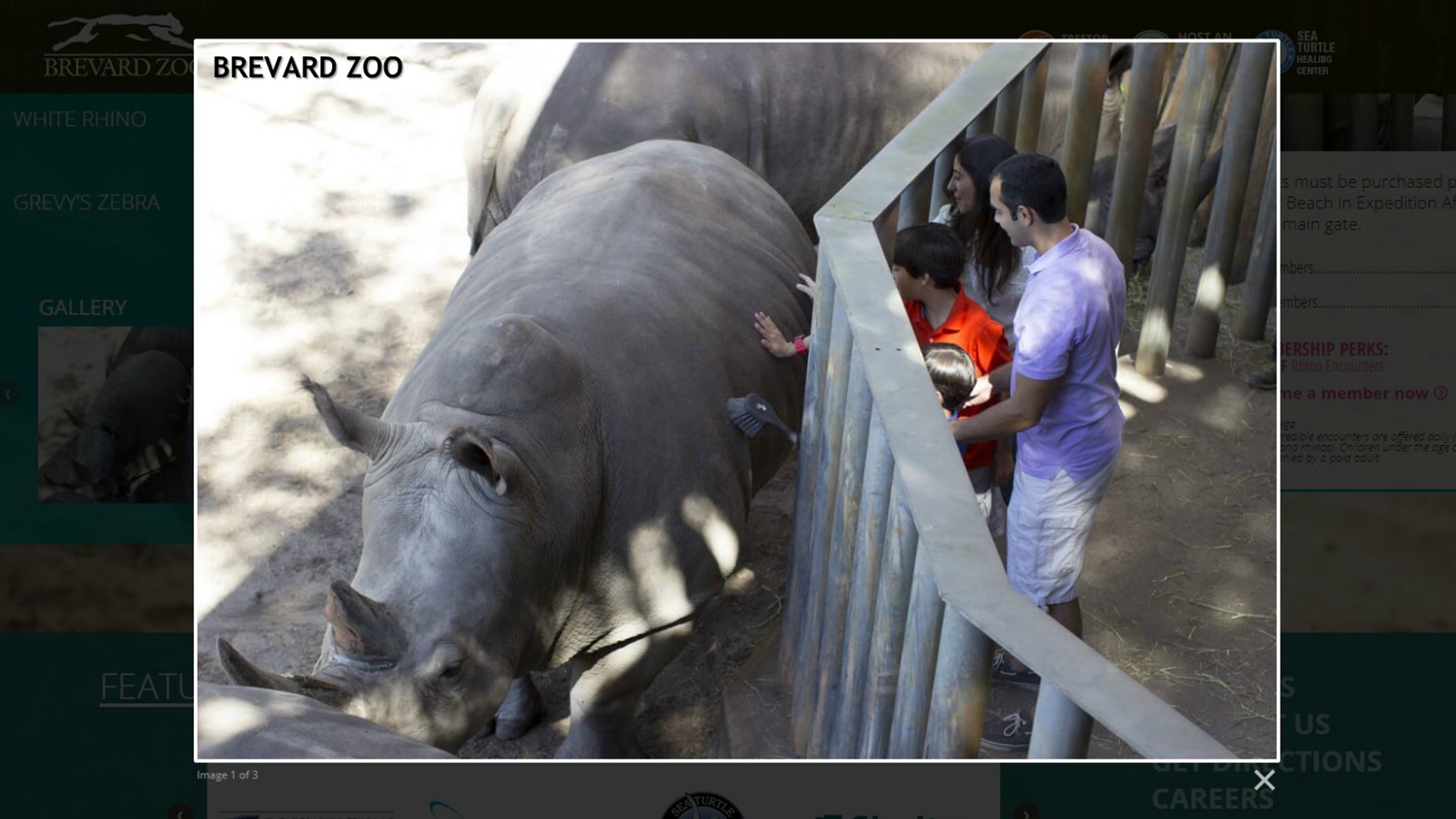 Child injured after falling into rhino exhibit at Brevard Zoo in ...