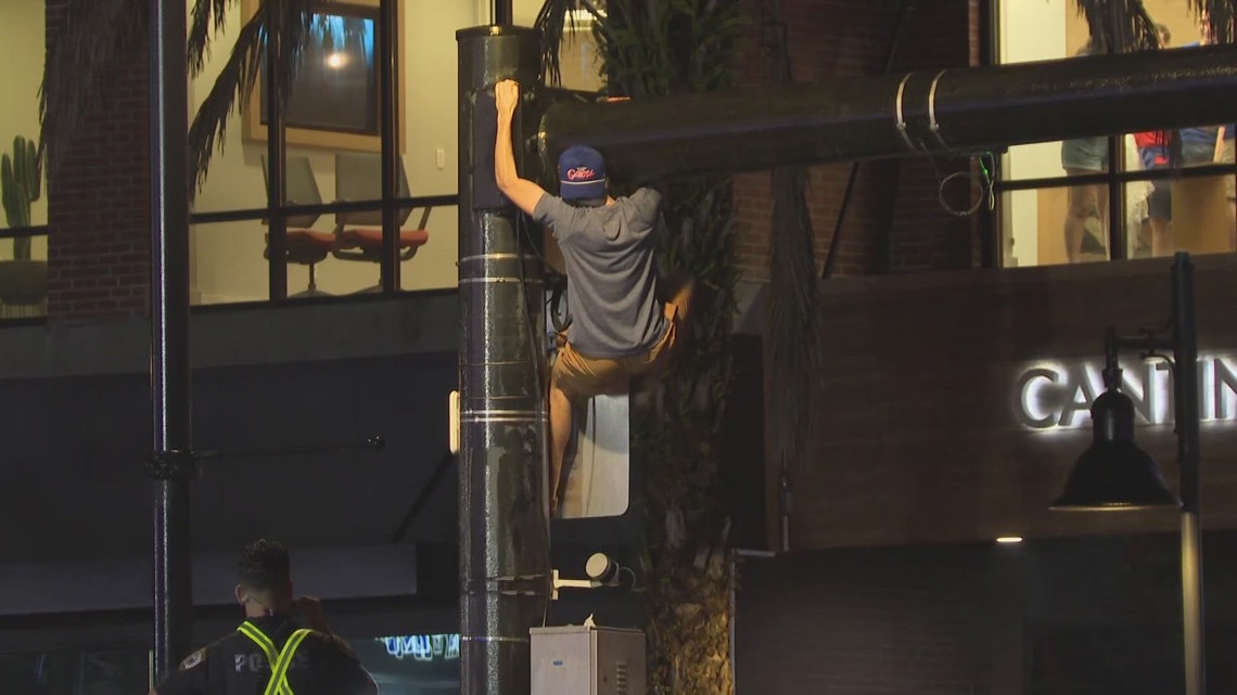 Florida Gators fan climbs traffic light, falls into crowd celebrating ...