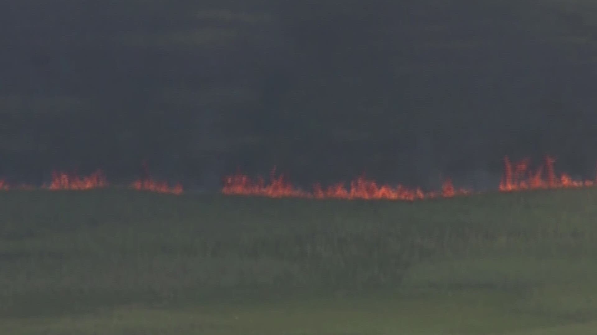 Florida Everglades wildfire almost doubles in size in a day | wtsp.com