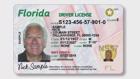 Real ID in Florida: Deadline to get Real ID, how to get one | wtsp.com