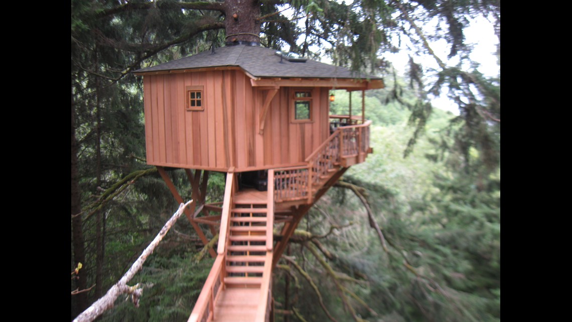 Elaborate Ore. treehouse leads to $5K fine for TV host | wtsp.com