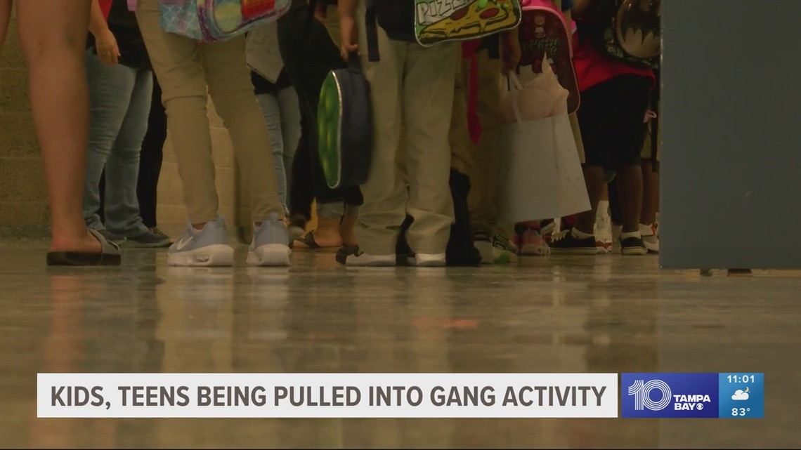 Youth gang violence on the rise, Tampa Bay law enforcement officials ...
