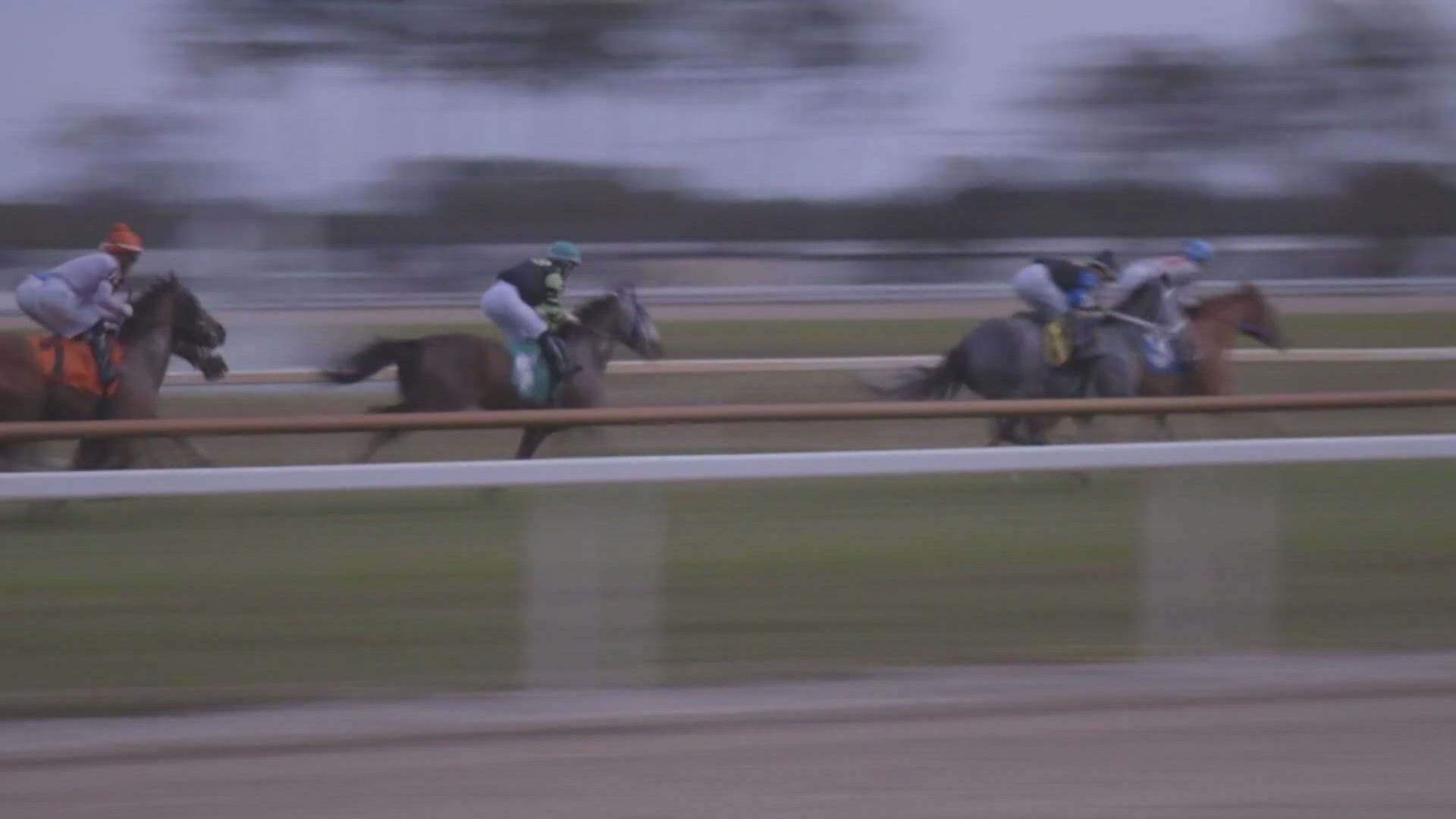 Florida bill could end live horse racing | wtsp.com