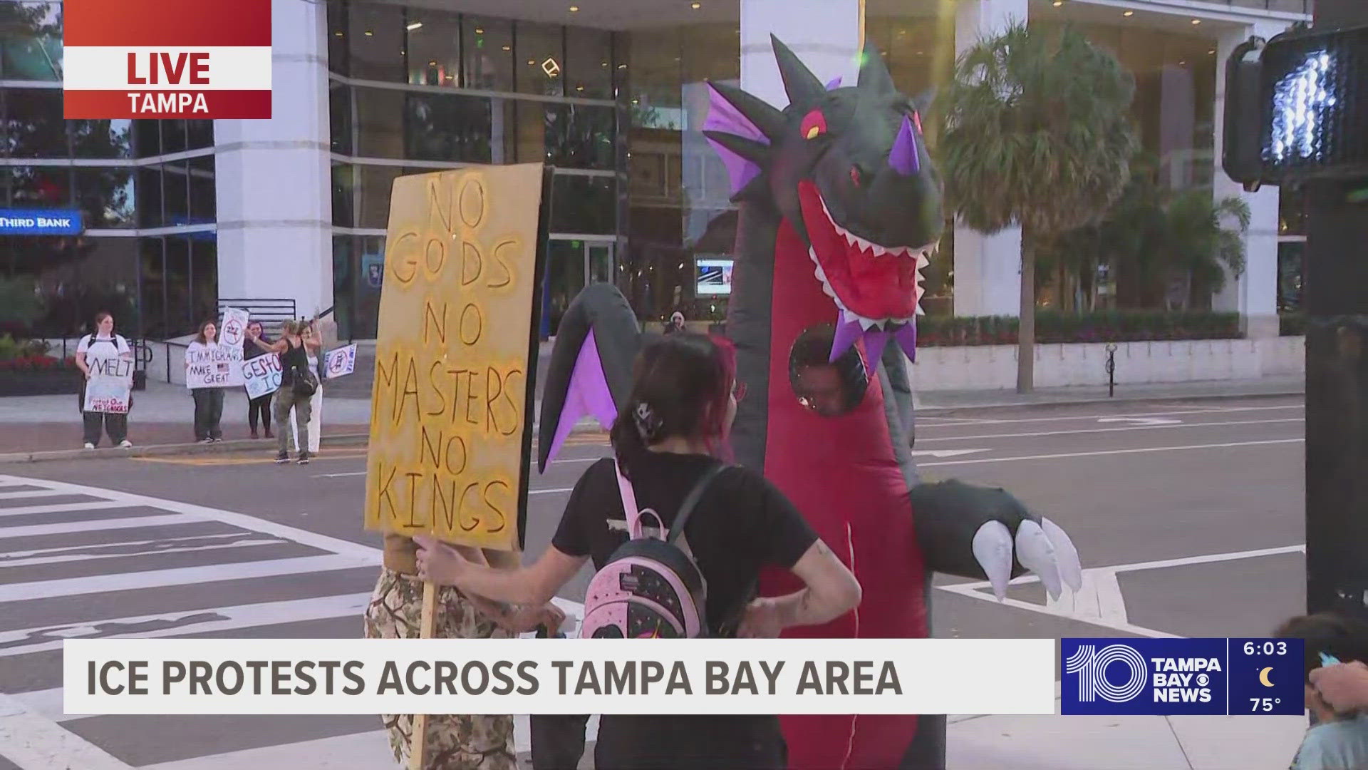 ICE shooting in Minnesota sparks protests across Tampa Bay | wtsp.com