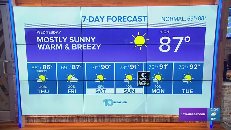 Adam Johnson released: Man seen carrying Pelosi's lectern in riot ...