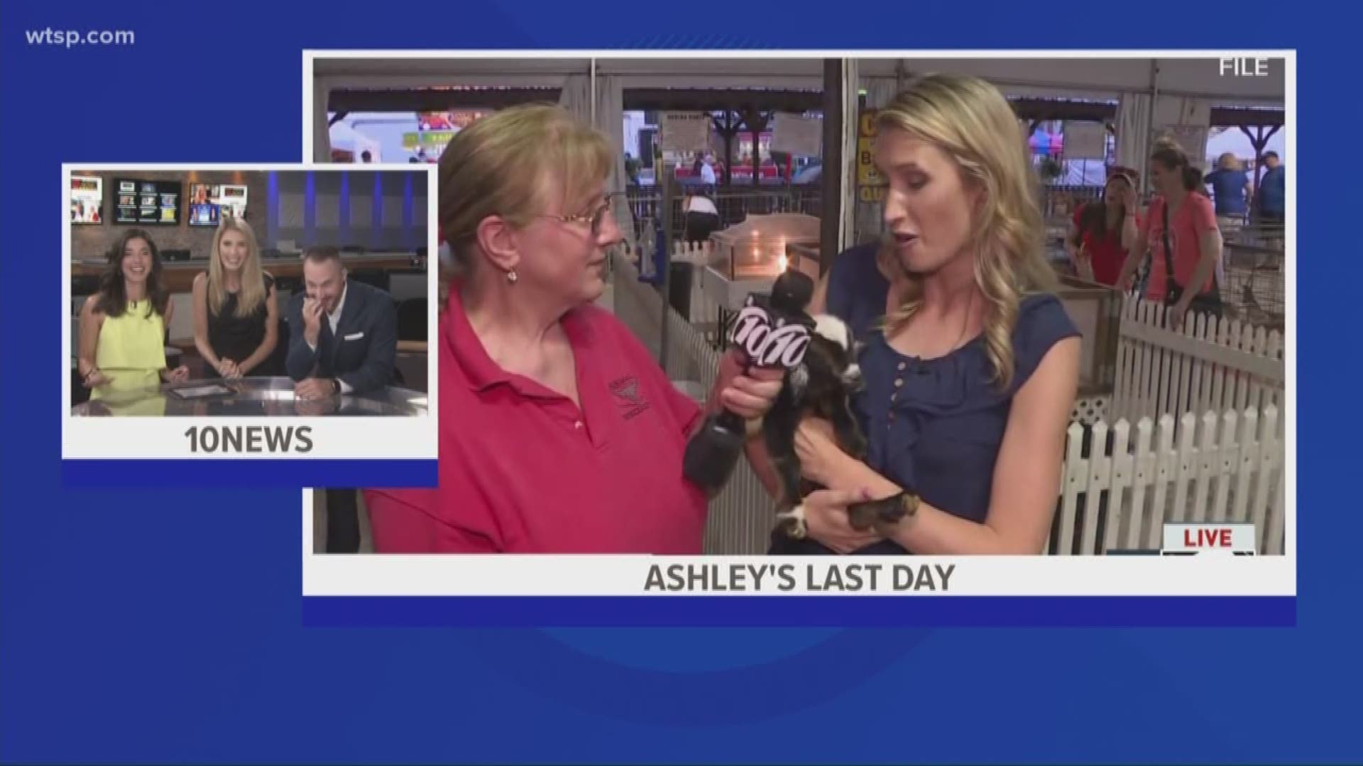 10News says goodbye to meteorologist Ashley Batey | wtsp.com
