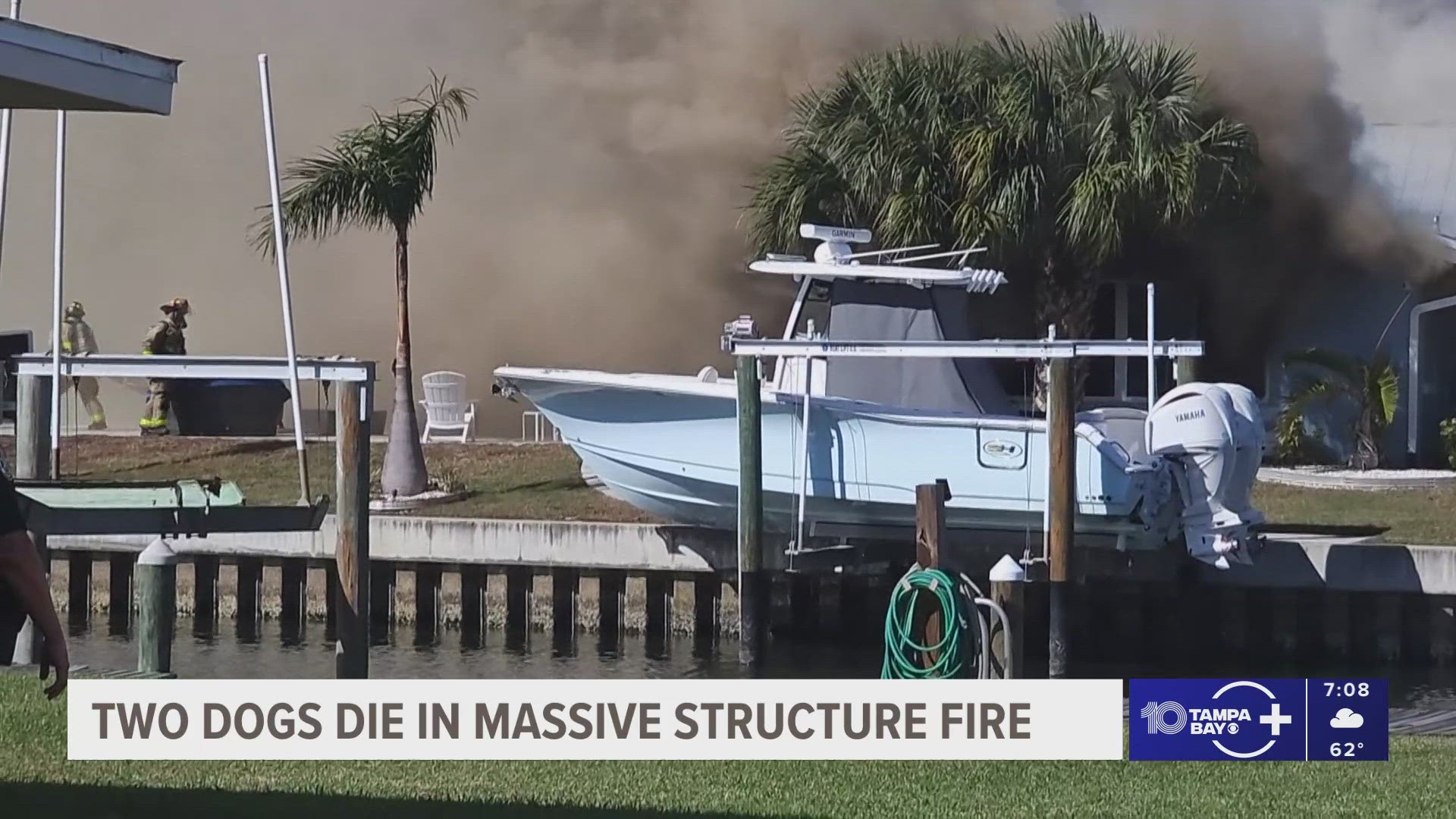 2 dogs dead after Sarasota house fire, investigation underway | wtsp.com