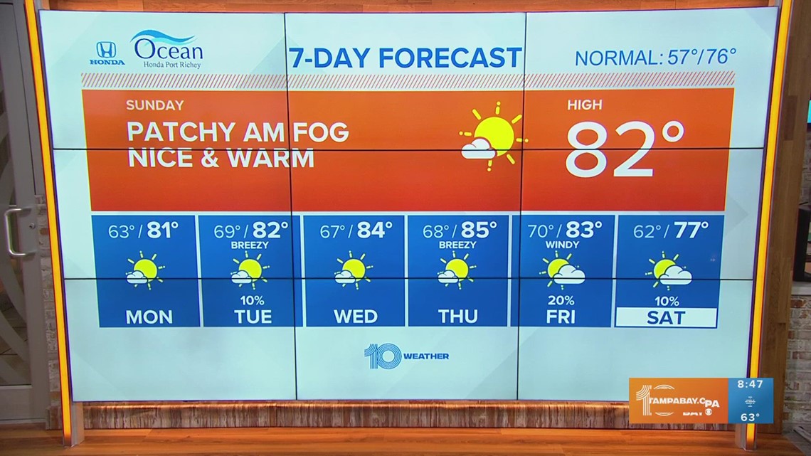 10 Weather: Warm and sunny Sunday | wtsp.com