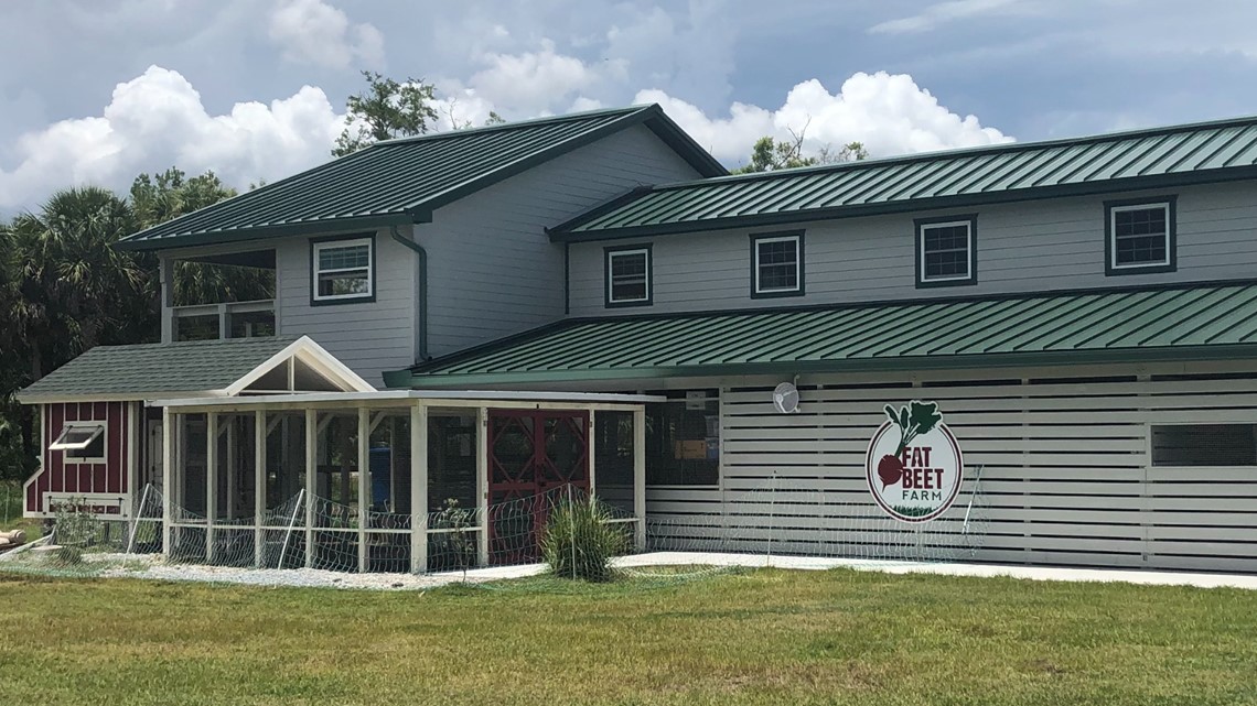 Fat Beet Farm in Tampa has sustainable mission | wtsp.com