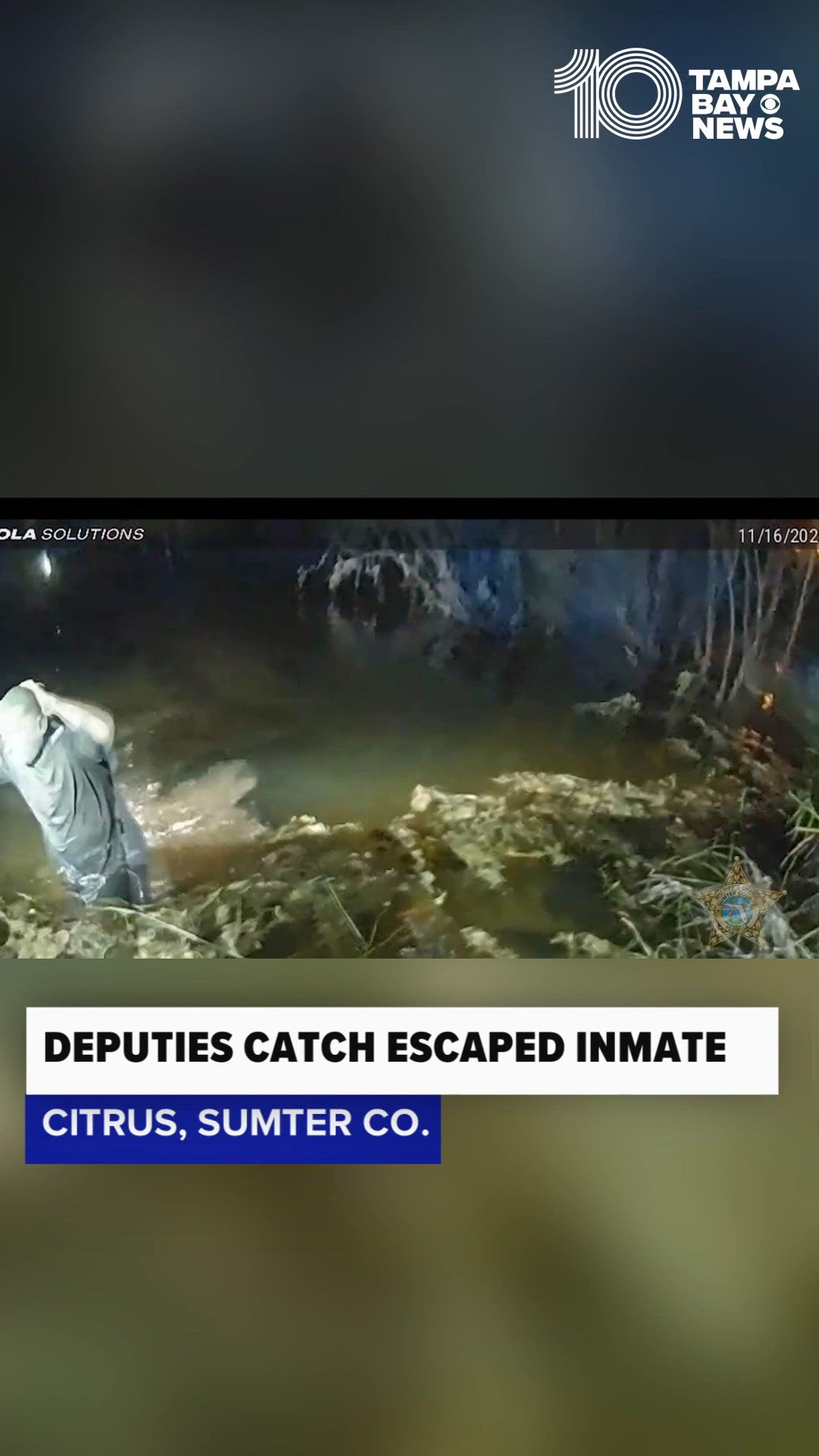 Florida deputies capture escaped inmate who went into pond | wtsp.com