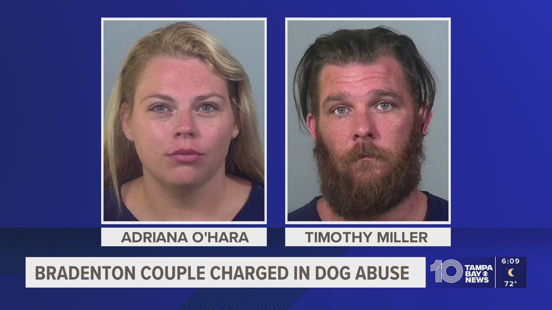 Bradenton couple arrested for aggravated animal cruelty charges | wtsp.com