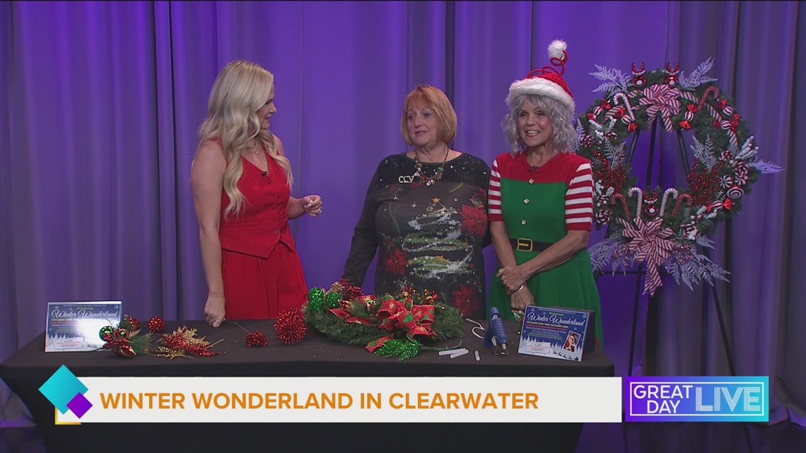 Winter Wonderland | wtsp.com