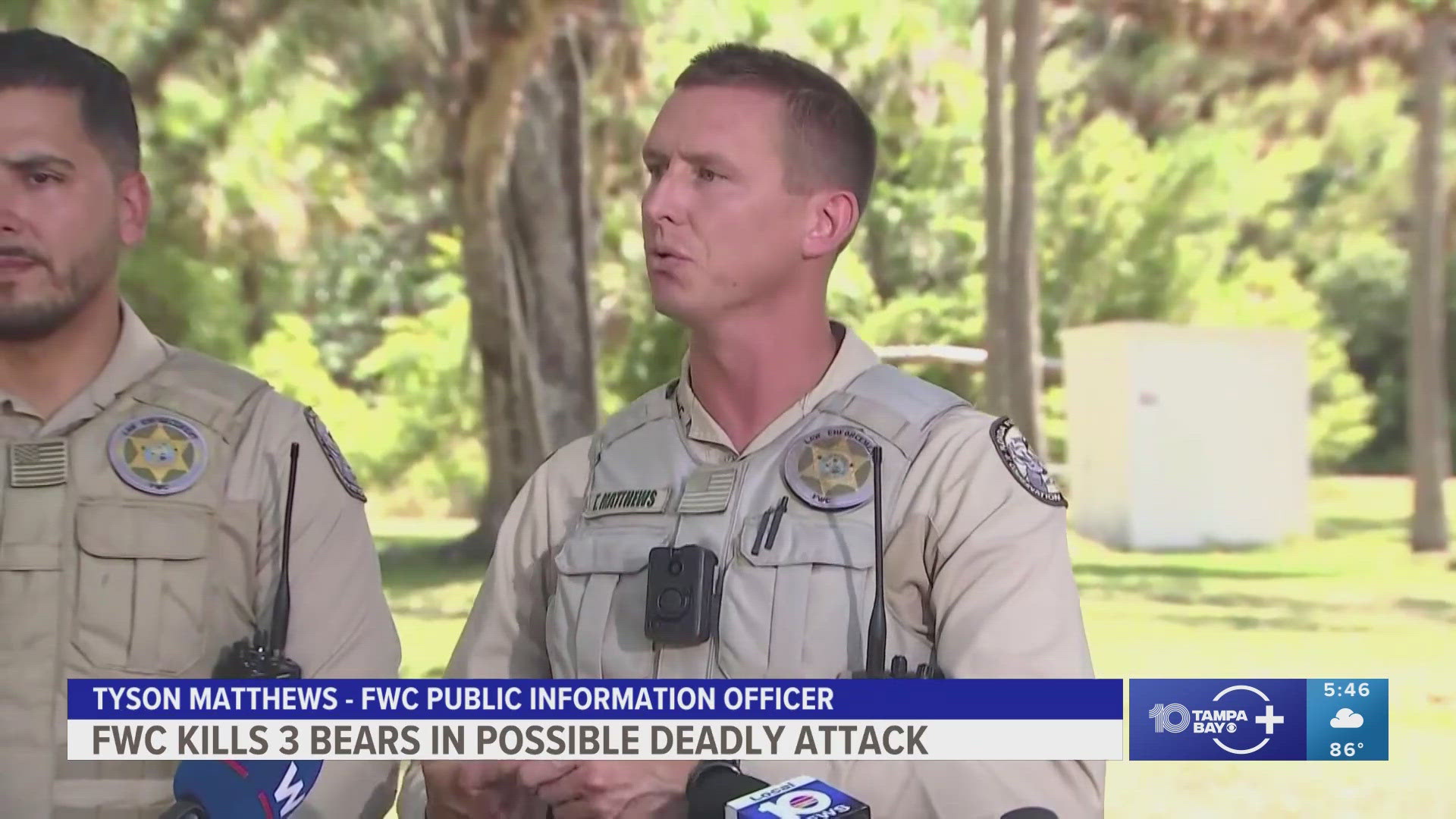 Florida officers kill 3 black bears after deadly attack | wtsp.com