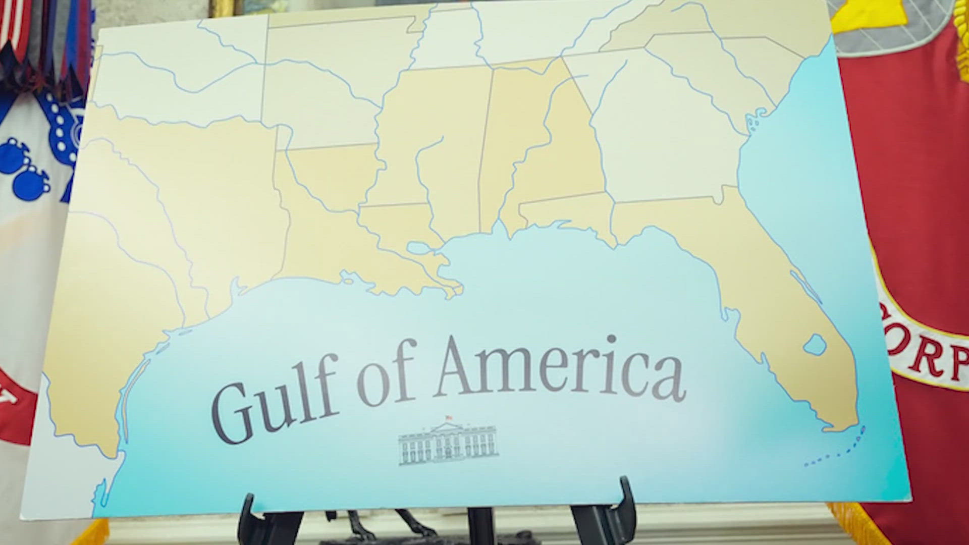 Florida driver's license, ID cards will have new numbers | wtsp.com