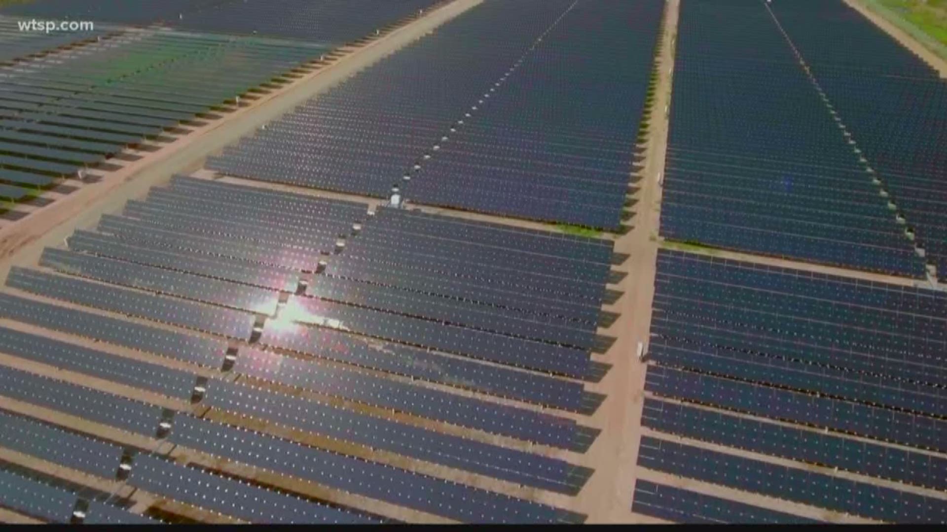 Disney World launches 2nd solar facility alongside Mickey Mouse-shaped ...