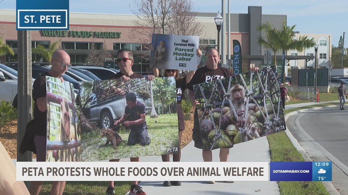 PETA activists protest Whole Foods over ethics of coconut milk product ...
