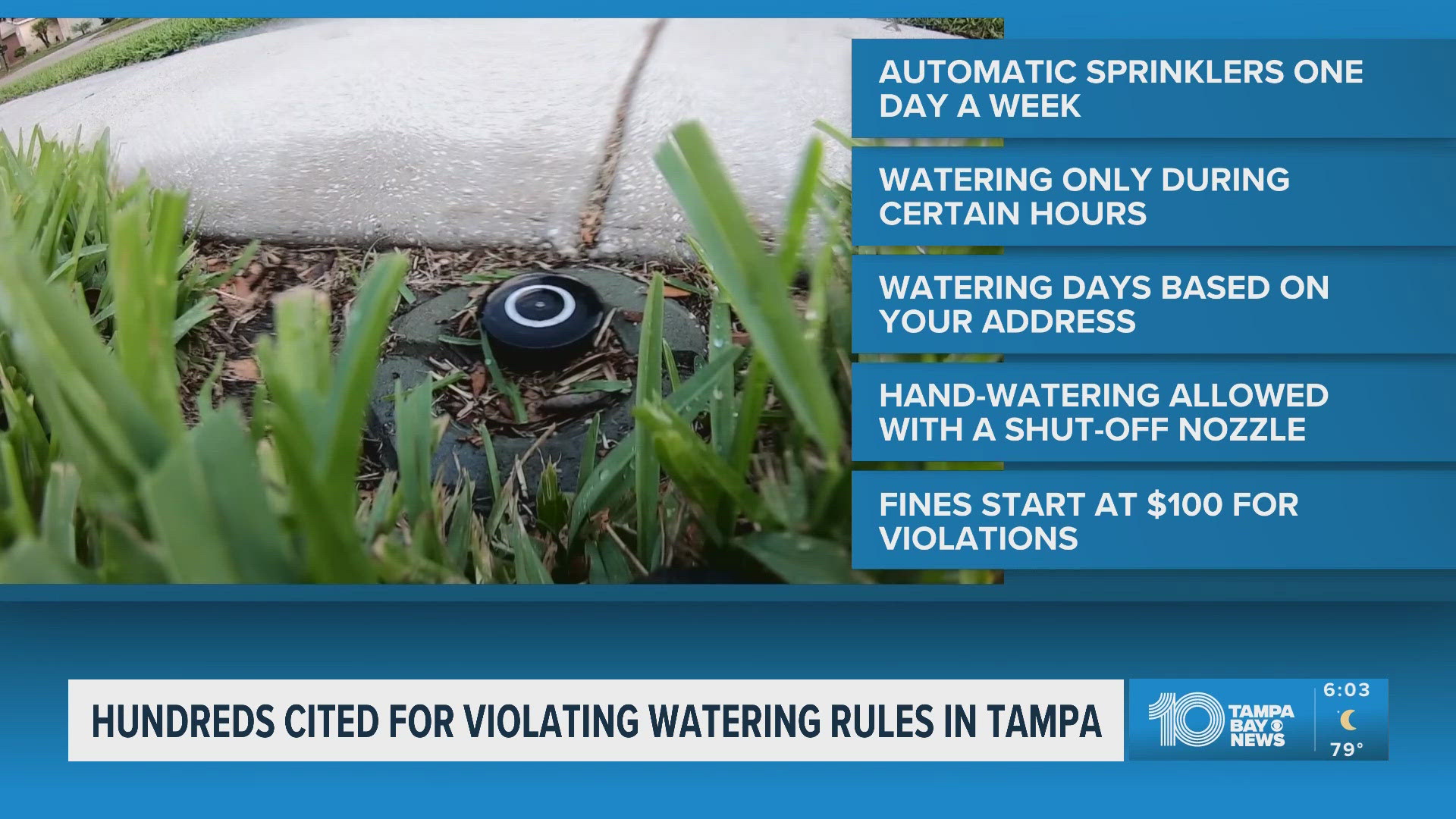 More than 400 Tampa residents have received citations for violating ...