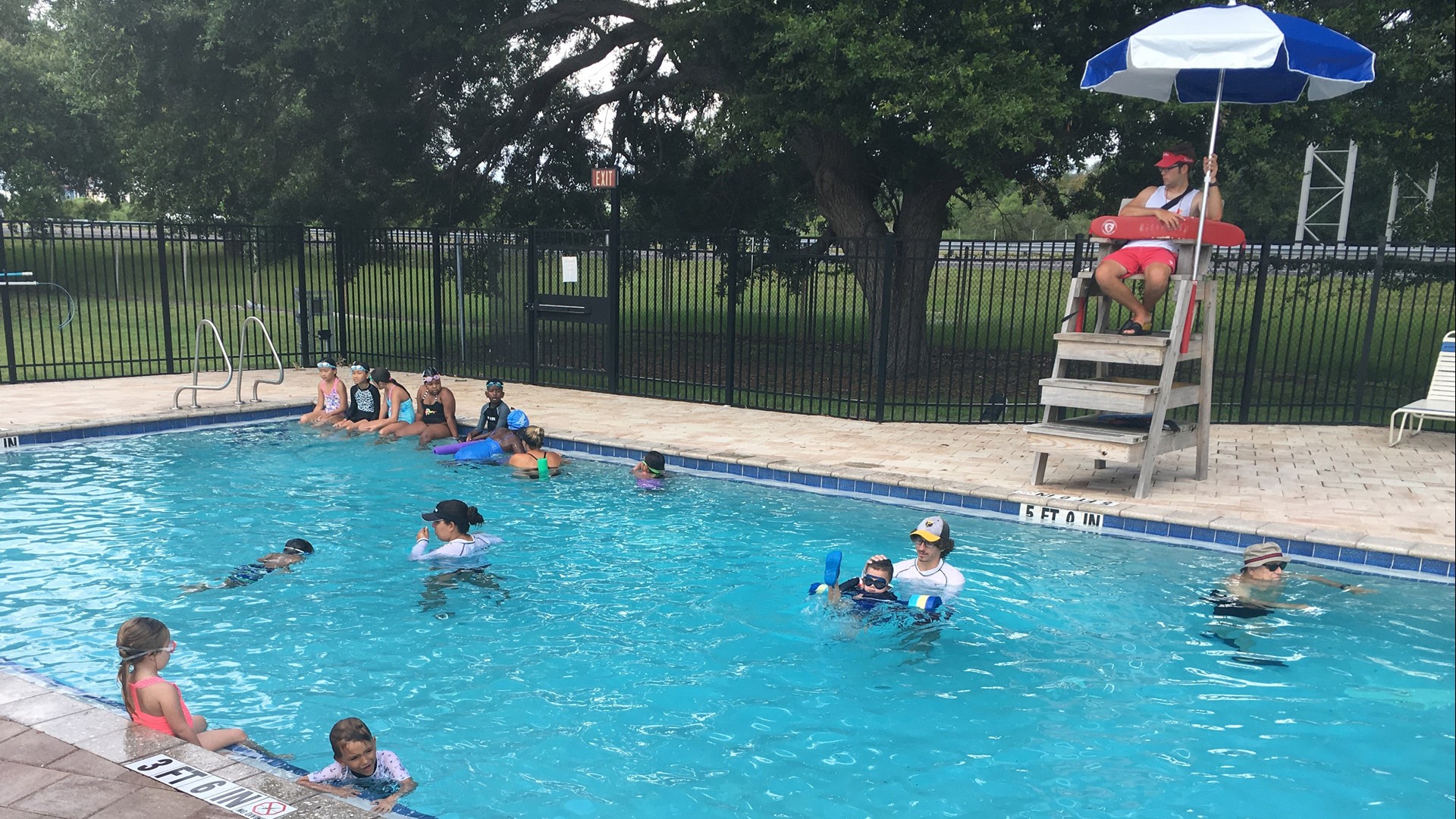 Tampa Bay pools to participate in the 'World's Largest Swim Lesson ...