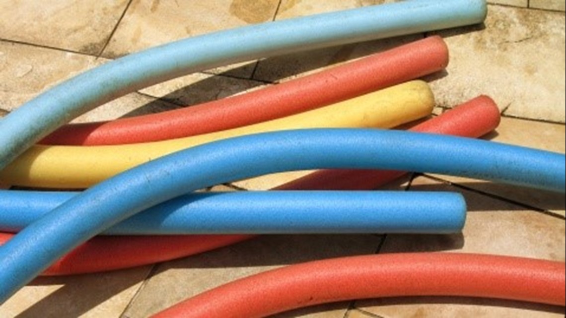 Snake in pool noodle leads to important warning | wtsp.com