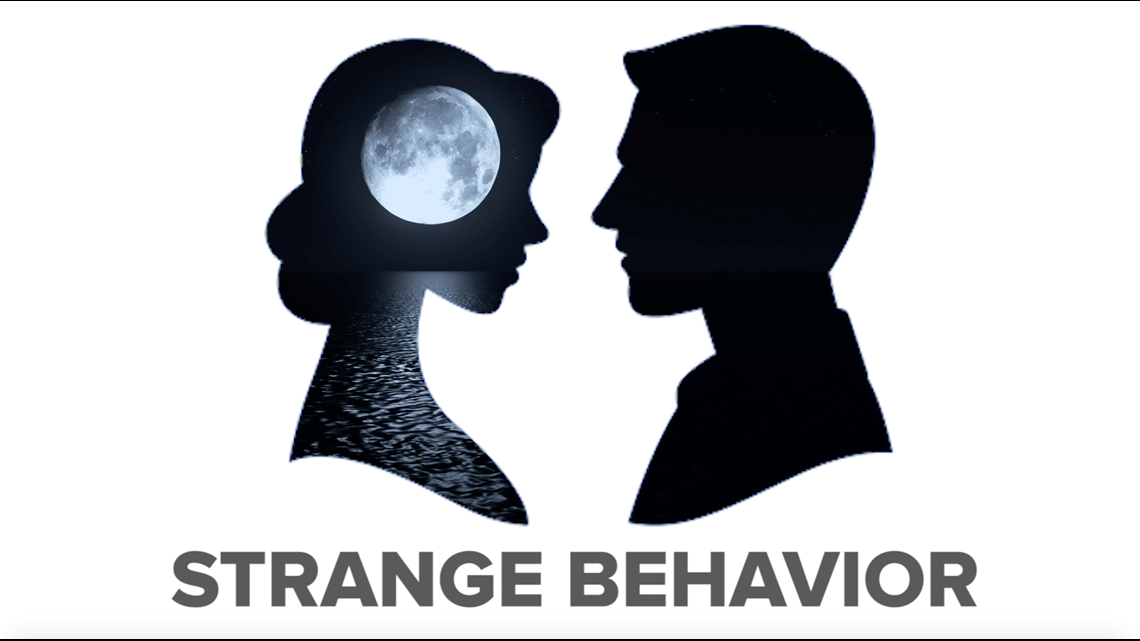 Does the full moon cause crazy behavior? | wtsp.com