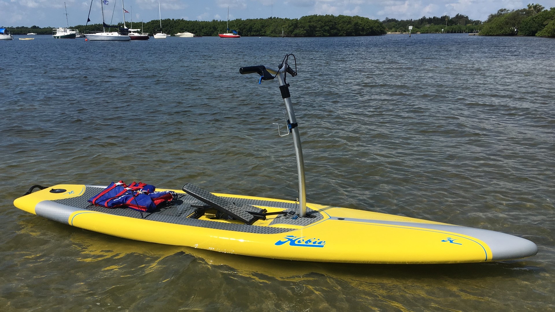 Walk and pedal on water with new stand-up pedalboards | wtsp.com