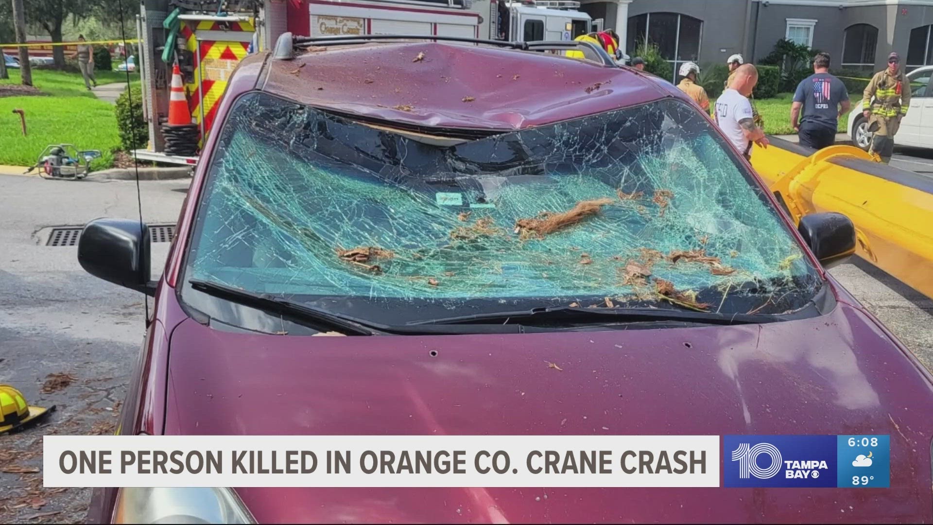 Heather Moss Wallpaper