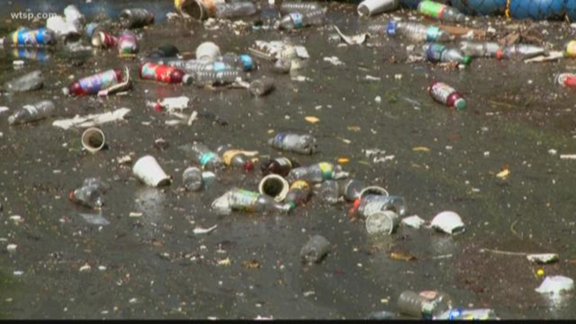 Watergoats make pollution problem in Tampa Bay obvious | wtsp.com